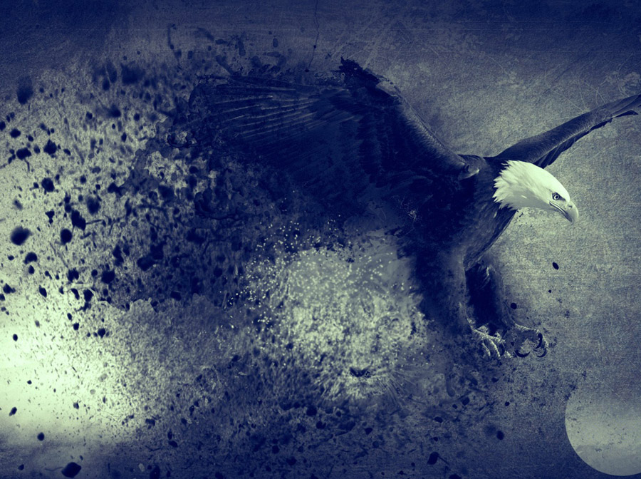 Eagle | Jawahar Computer Education