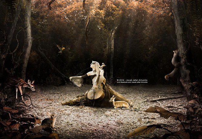 Forest | Jawahar Computer Education